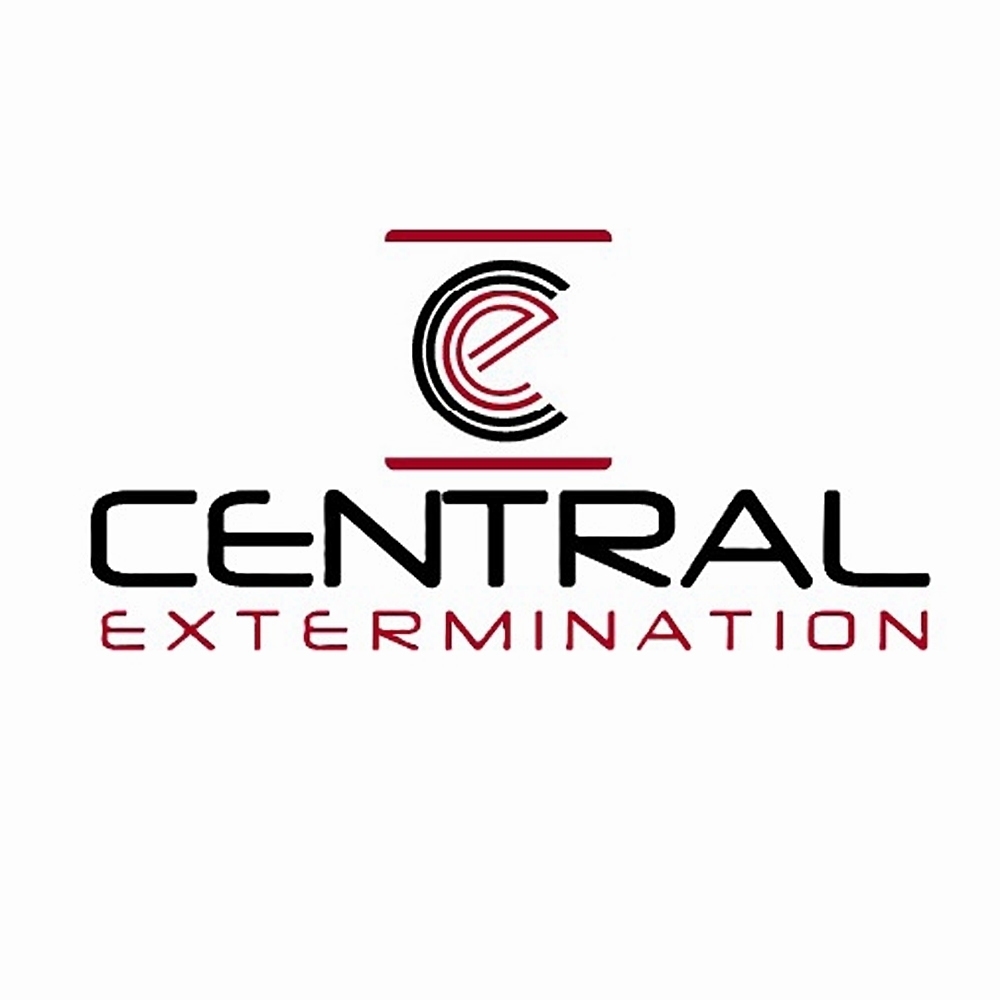 Extermination & Pest Control Services in Montreal - Since 1980